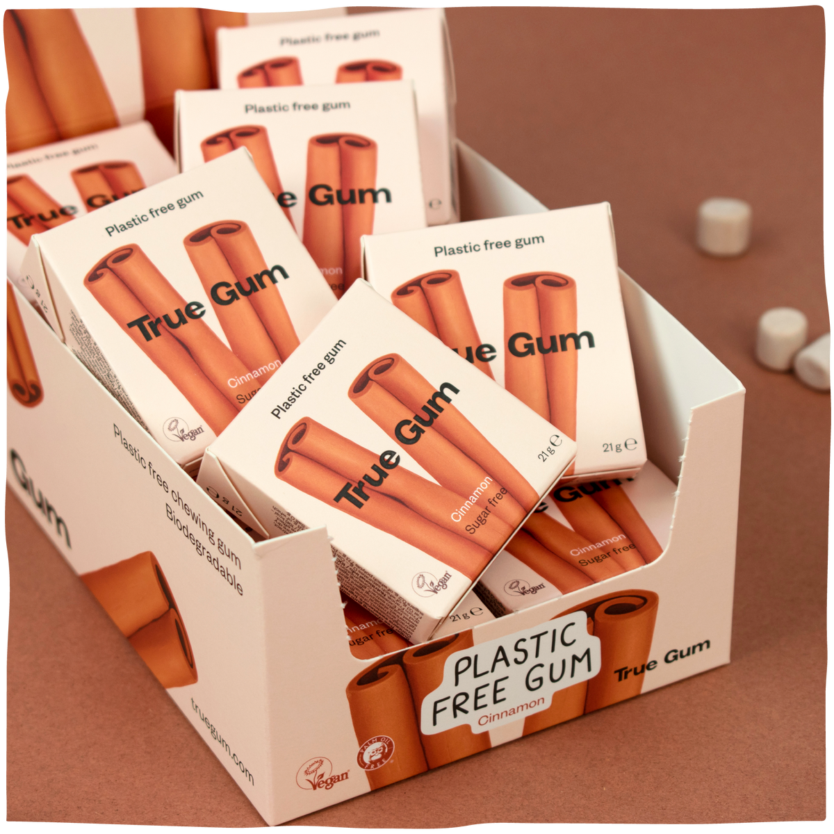 Plastic-Free, Natural Cinnamon Gum I Shop Now – True Co